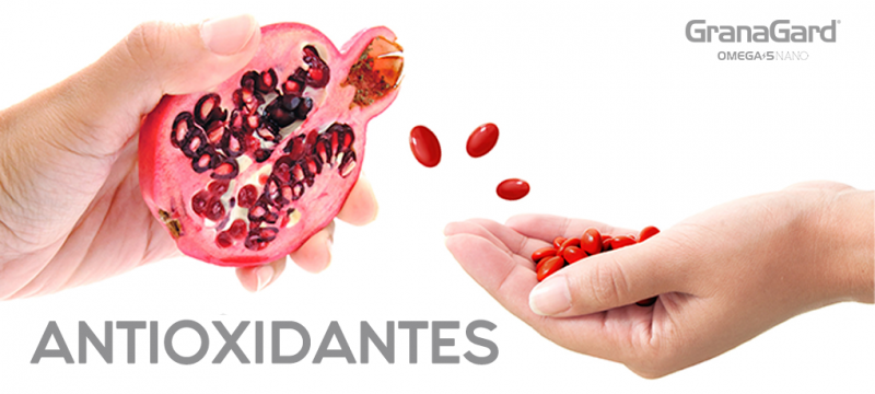 ¿Qué son los antioxidantes y por qué son importantes? – GranaGard